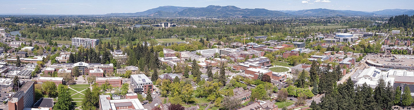 About the School of Computer and Data Sciences | School of Computer and ...